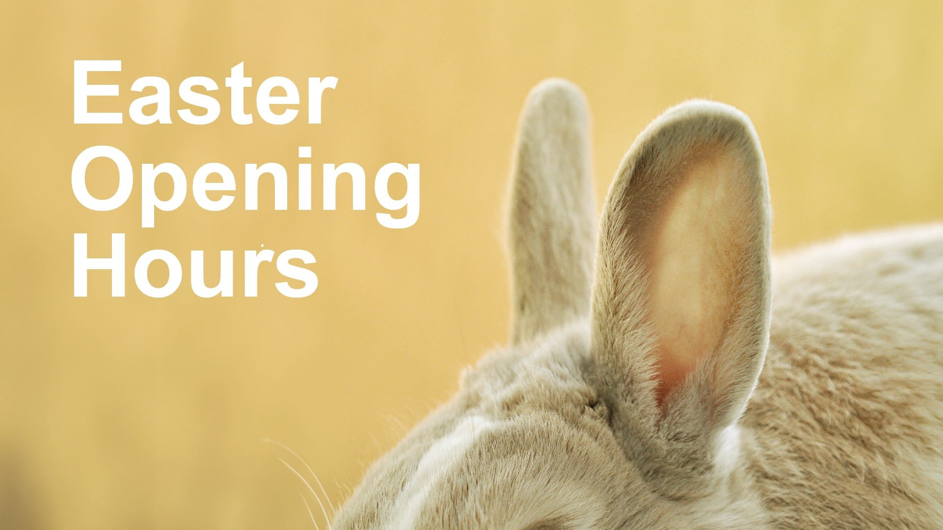 Whats Happening – Thamesgate Shopping Centre